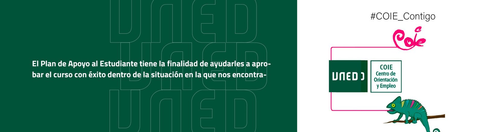 UNED México – Universidad Nacional de Educación a Distancia